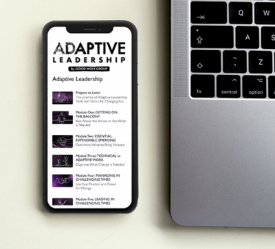 About - Mobius Leadership