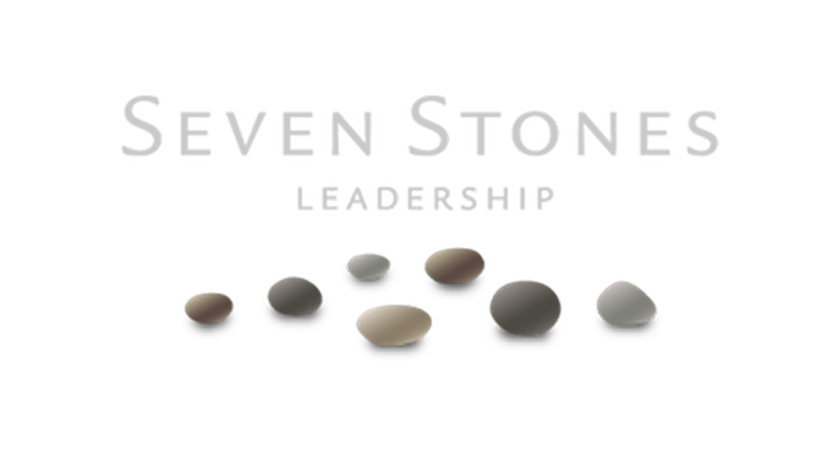 Seven Stones Leadership - Mobius Leadership