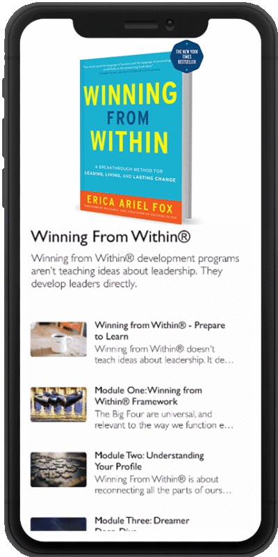 Digital Offerings - Mobius Leadership