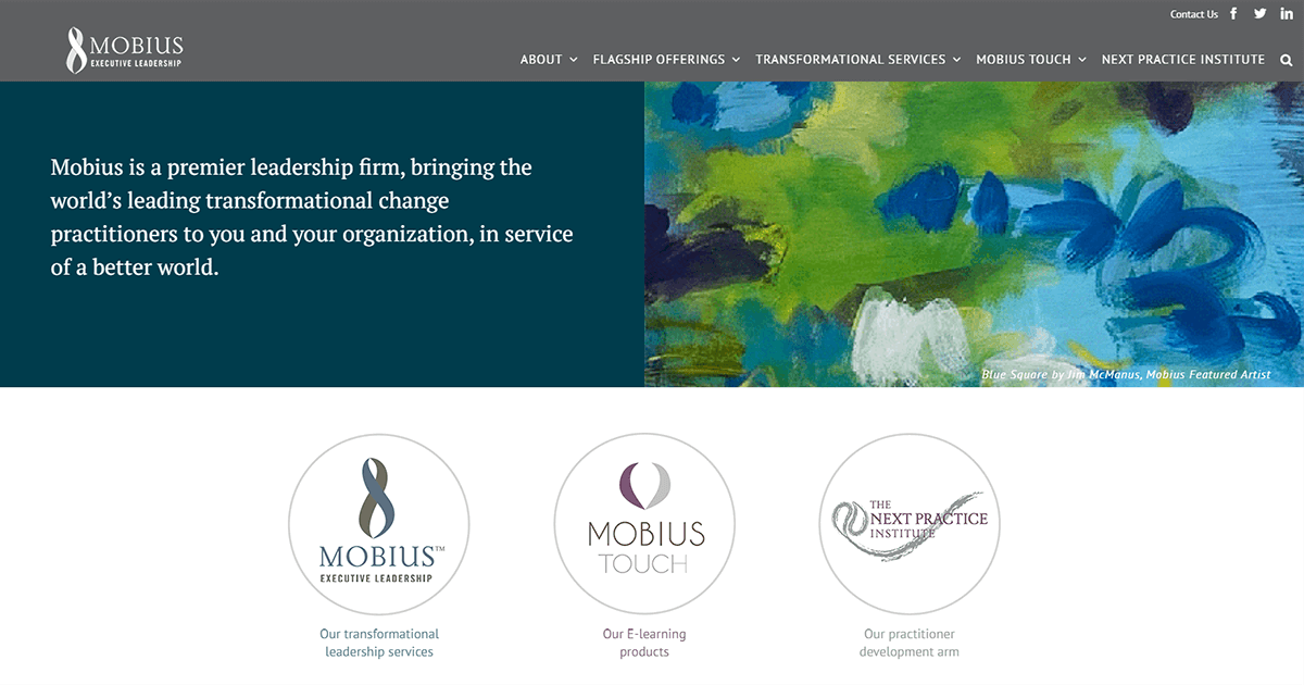 About - Mobius Leadership